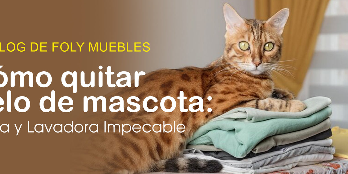 Cómo quitar pelo de mascota: Ropa y lavadora impecable. — Foly